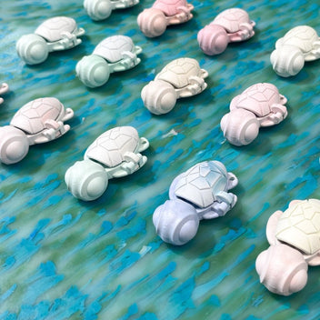 Calm Buddi Turtle – Sensory Tools Australia